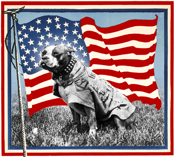 Dogs Of War Sergeant Stubby The U S Army s Original And Still Most Dogs Of War Sergeant Stubby The U S Army s Original And Still Most
