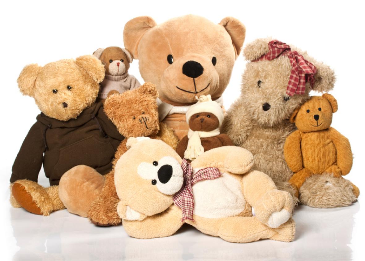 Our Children Aren t Getting Softer But Their Stuffed Animals Are Here