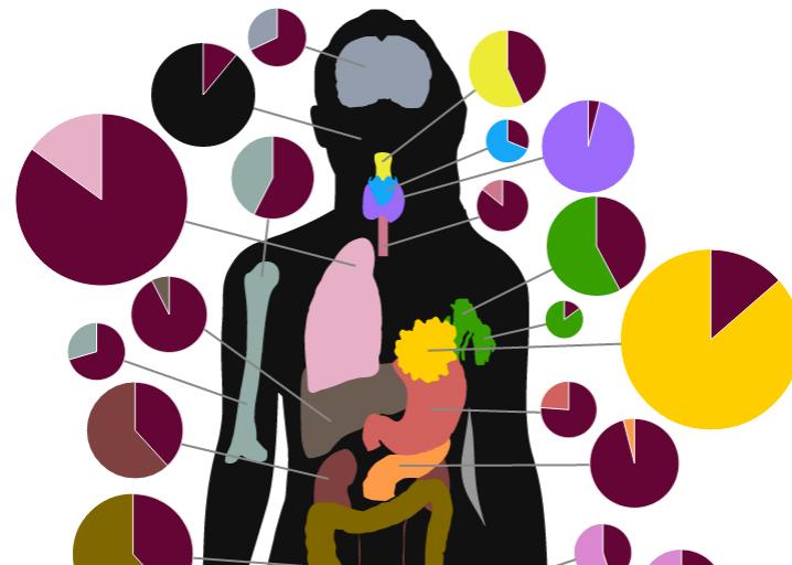 Deadliest cancer chart shows mortality and incidence rates.