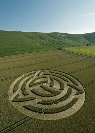 crop circle art