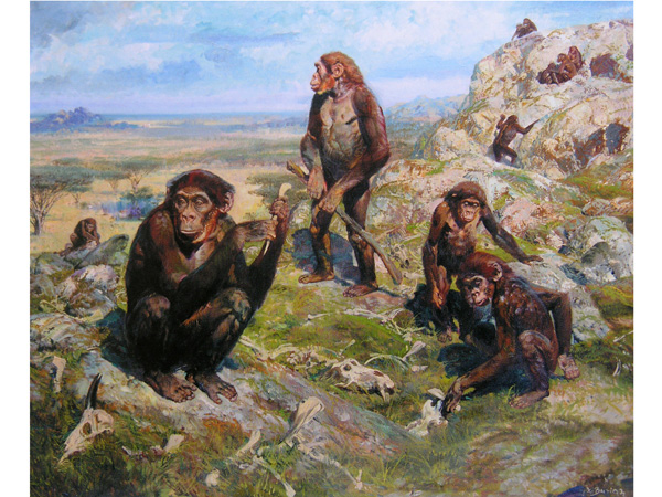 largest hominid